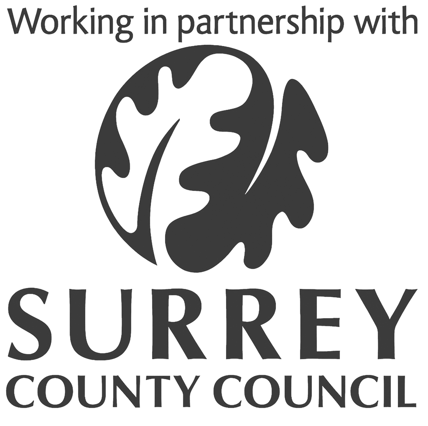 Surrey Logo